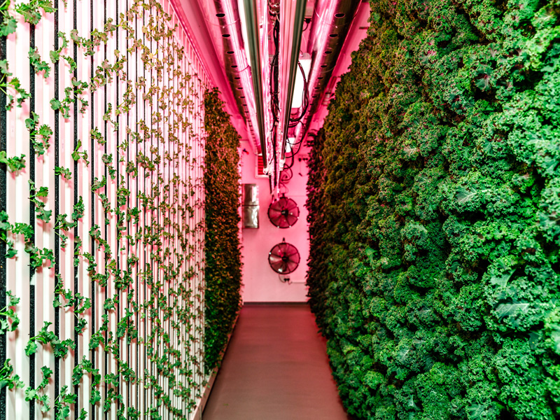 Training the future of food production